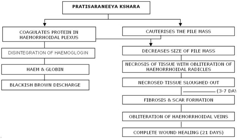 Kshar Karma Treatment - Benefits of Kshar Karma | Proctocure